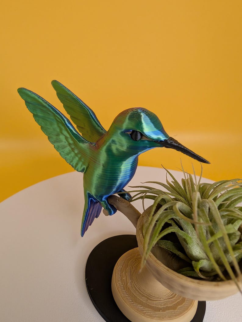 Hummingbird Air Plant Holder - Tri-color Blue-green-purple Color-shift ...