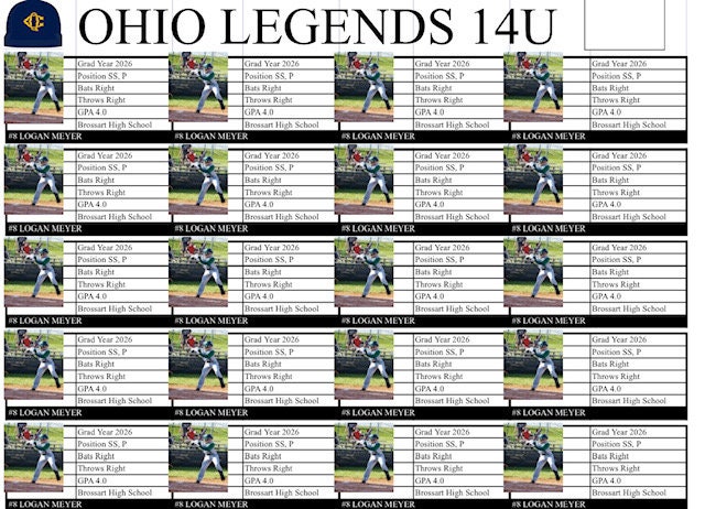 20 Player Roster Template (excel) - Etsy