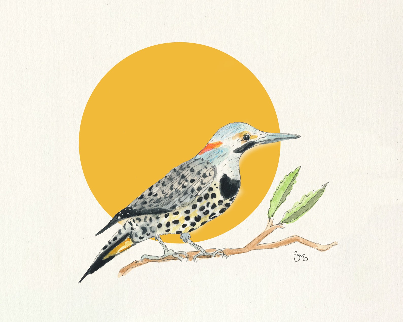 Yellow Hammer Woodpecker- Alabama State Bird Watercolor Giclée Print - Etsy