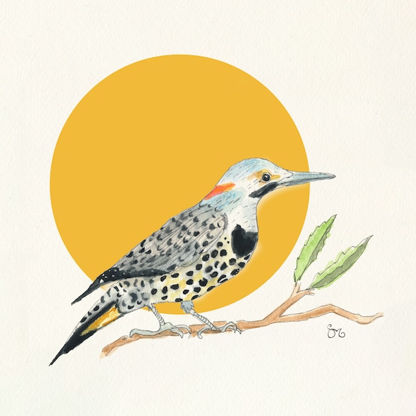 Alabama State Bird - Etsy