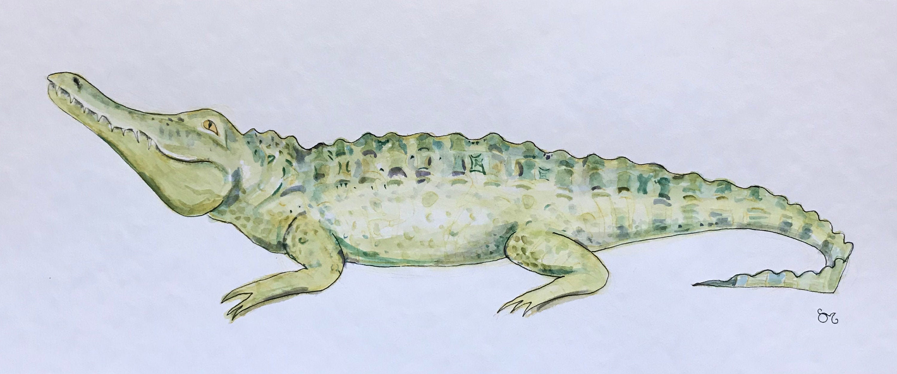 Alligator Watercolor Print - Etsy