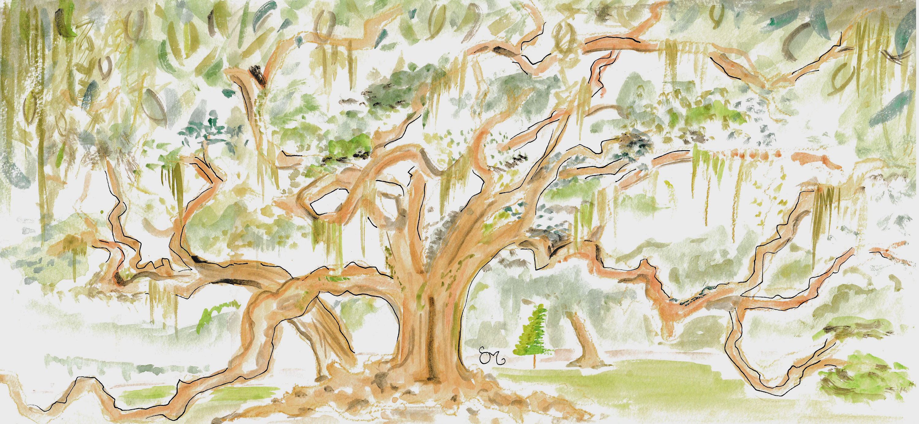 Tree of Life/ Audubon Park/ Live Oak watercolor giclée fine | Etsy