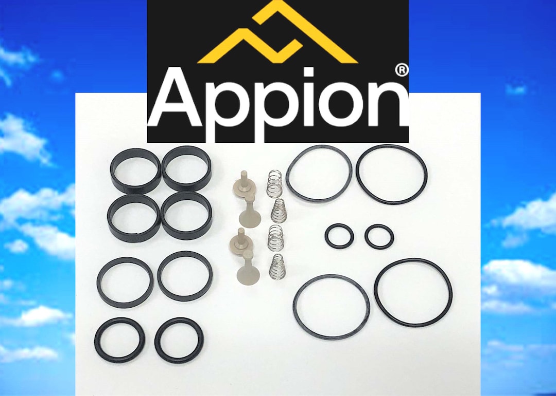 Appion Promax Compressor Valves Springs & O-ring Repair - Etsy