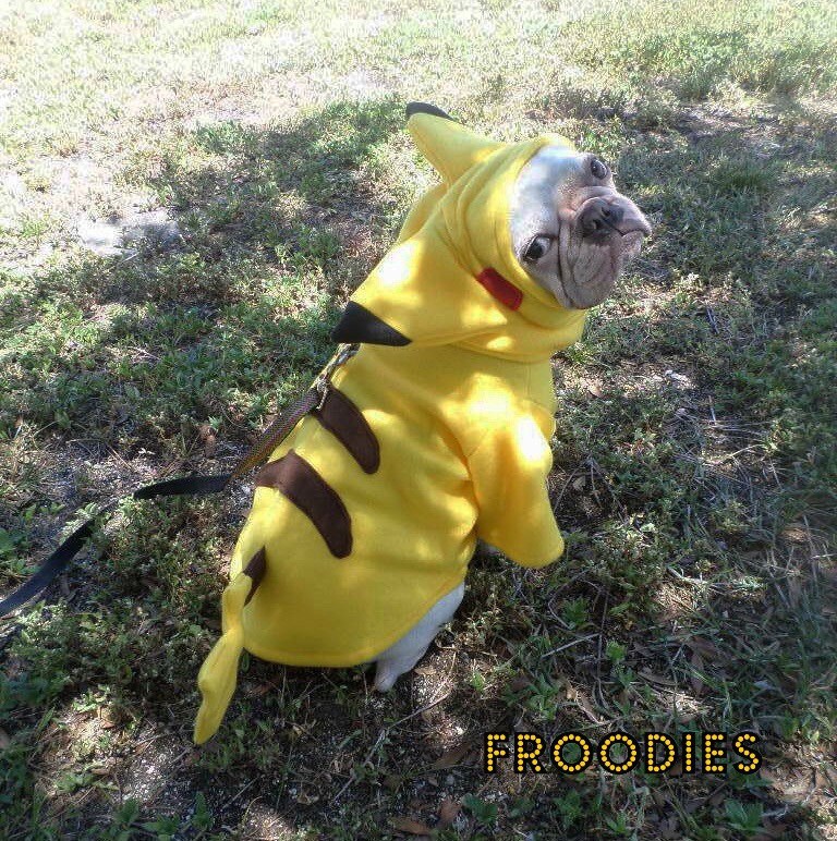 Pokemon Costumes For Dogs