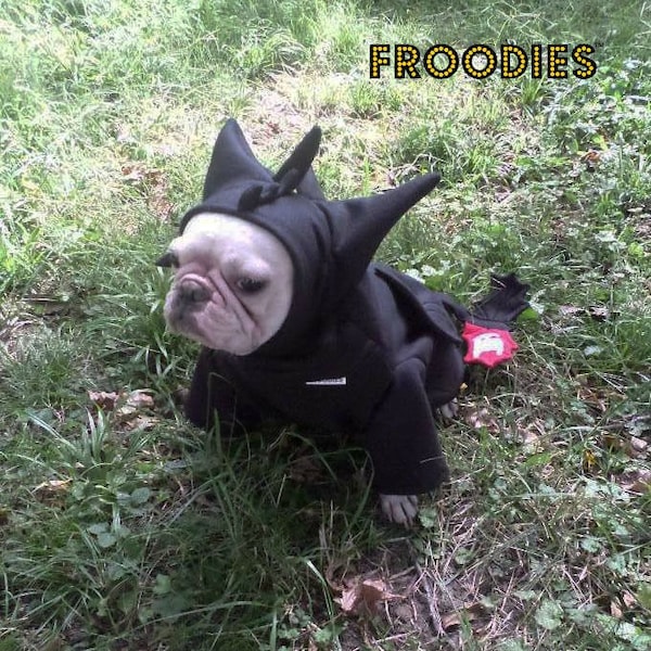 Toothless Costume - Etsy