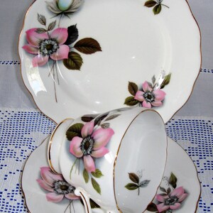 Immaculate PARAGON POMPADOUR Tea Set, Perfect 21pc. - Etsy UK