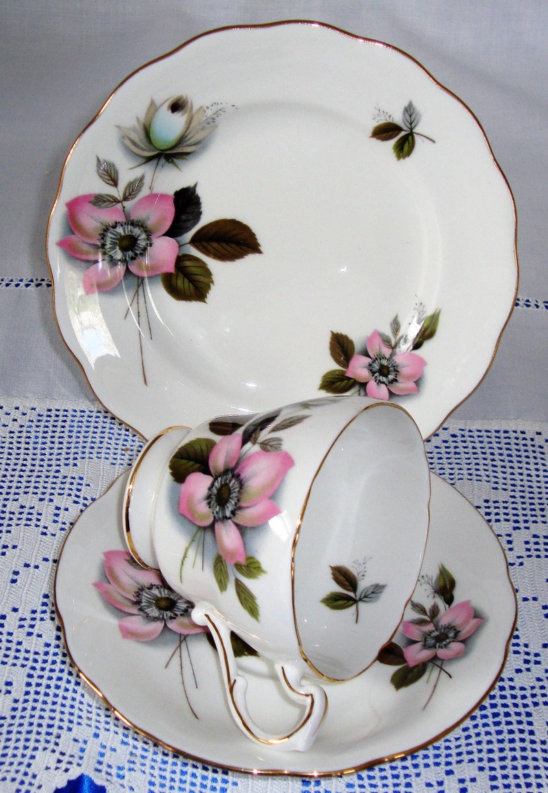 Immaculate PARAGON POMPADOUR Tea Set Perfect 21pc. - Etsy UK