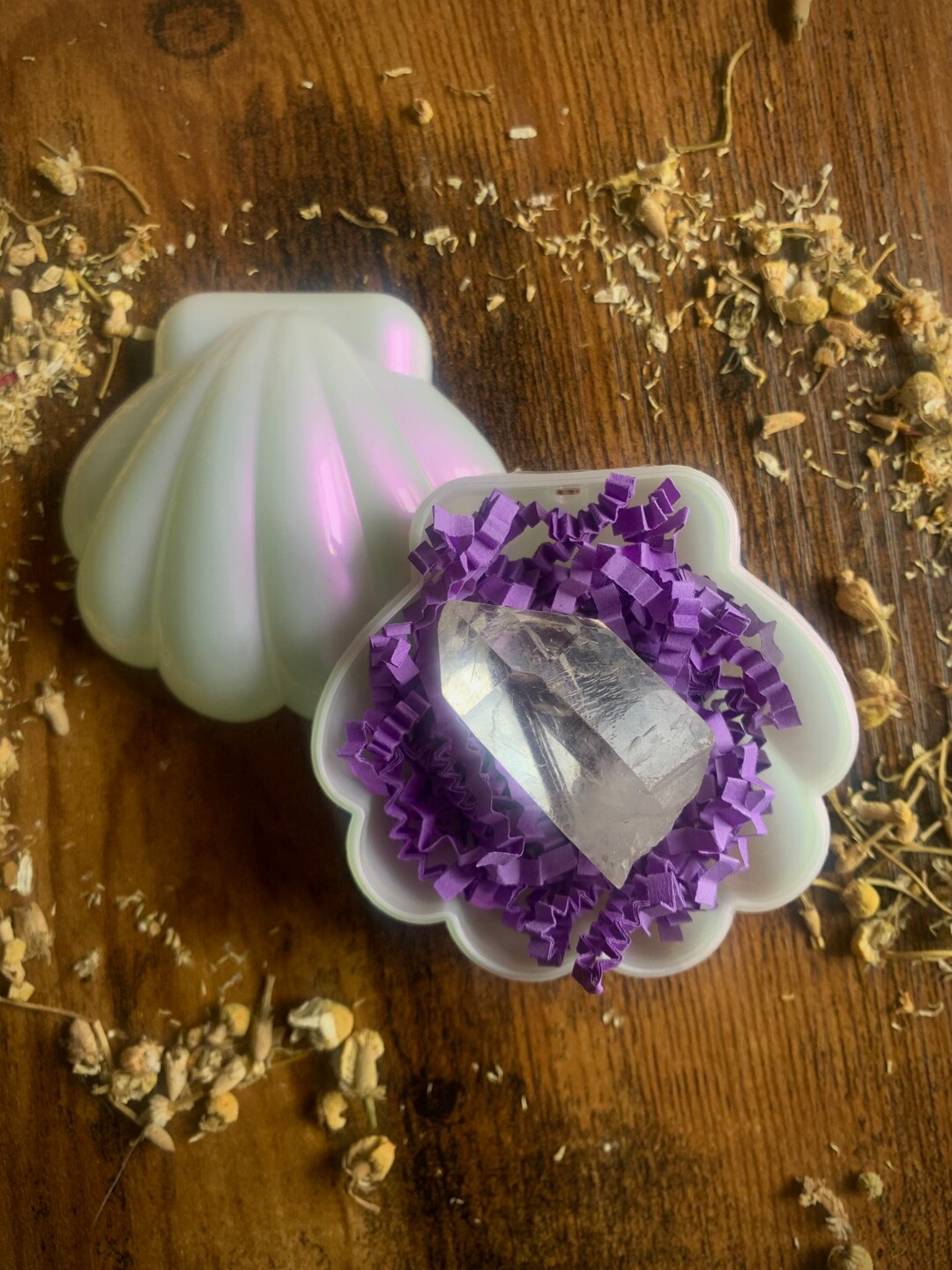 Crystal Filled Sea Shell easter Egg / Crystal Filled Easter - Etsy