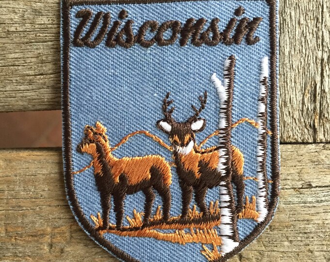 Wisconsin Vintage Souvenir Travel Patch by Voyager - Etsy