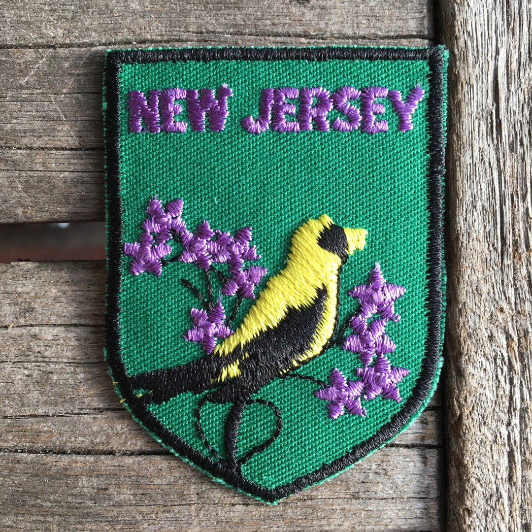 New Jersey Vintage Souvenir Travel Patch From Voyager - Etsy