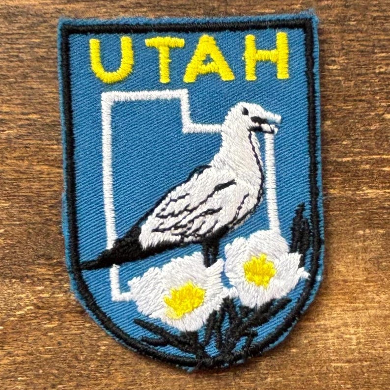 Utah Vintage Souvenir Travel Patch From Voyager - Etsy