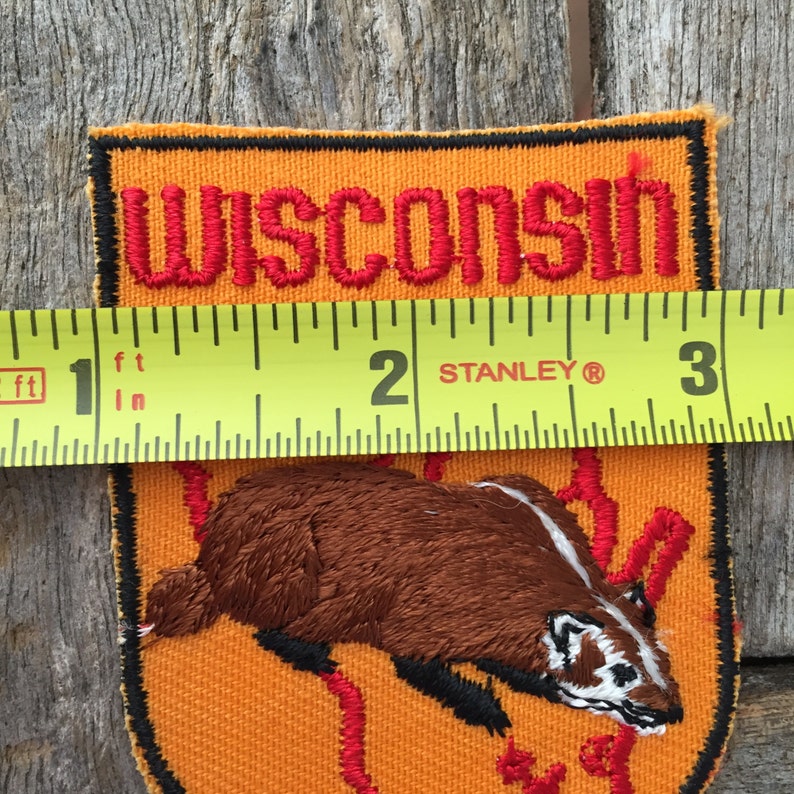 Wisconsin Vintage Souvenir Travel Patch by Voyager - Etsy