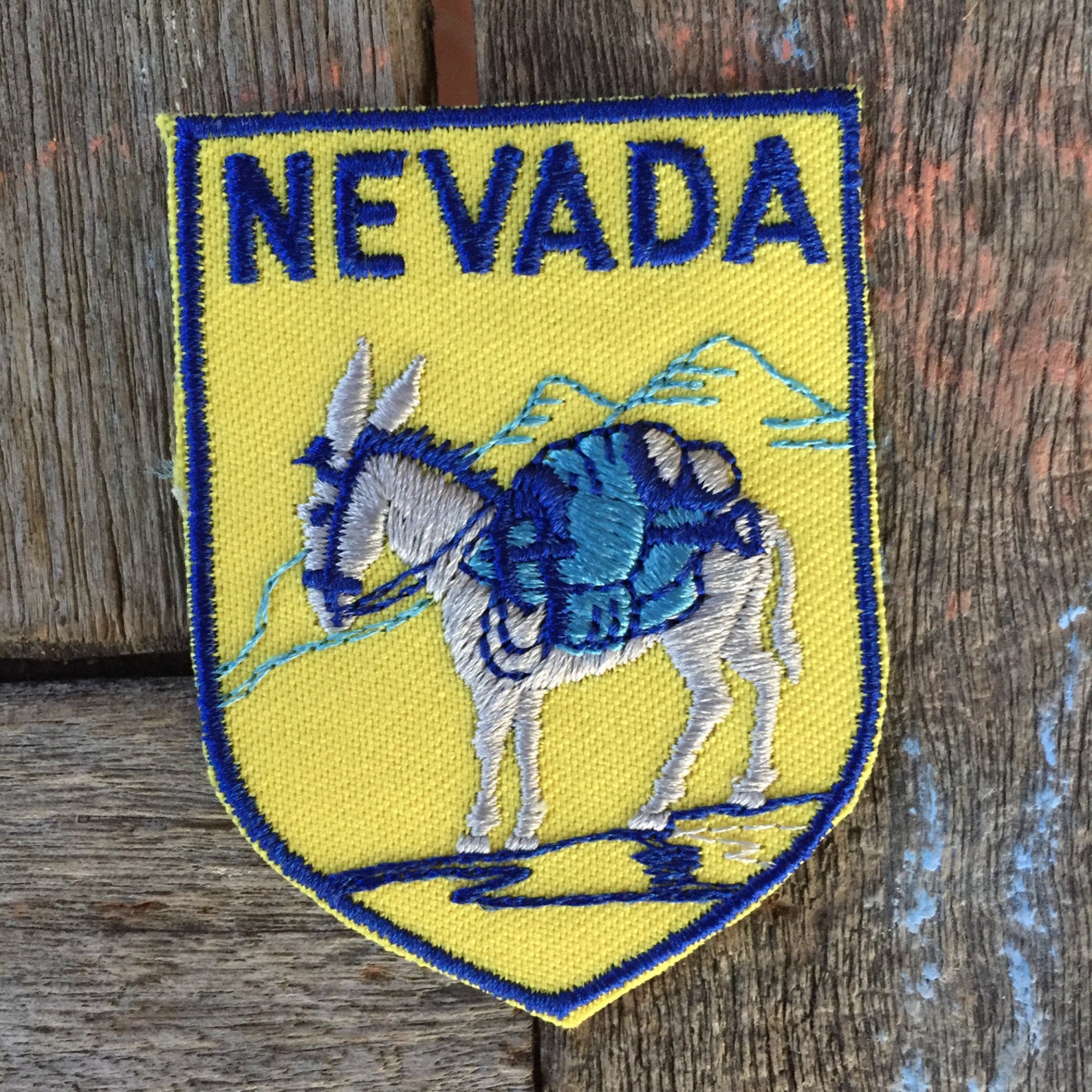 Nevada Vintage Souvenir Travel Patch From Baxter Lane - Etsy