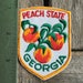 Peach State Georgia Vintage Souvenir Travel Patch From Voyager - Etsy
