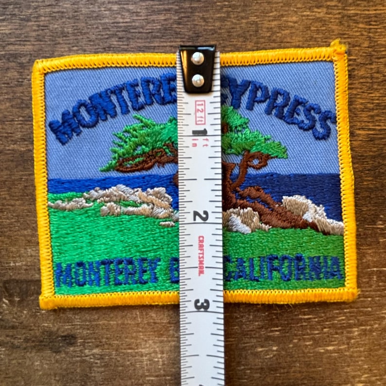 Monterey Cypress, Monterey Bay, California Vintage Souvenir Travel ...