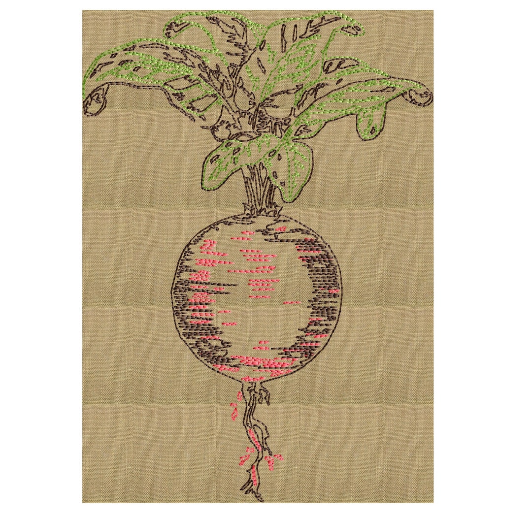 Beet Design - Kitchen - Turnip Radish - Heart and Home - EMBROIDERY ...