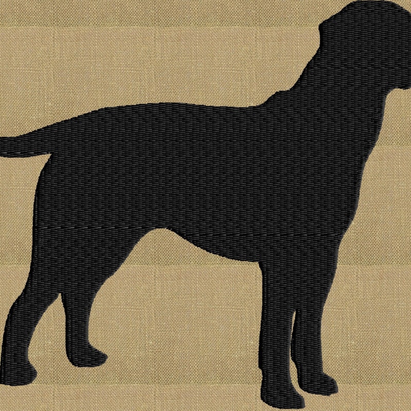 Lab Embroidery Design - Etsy