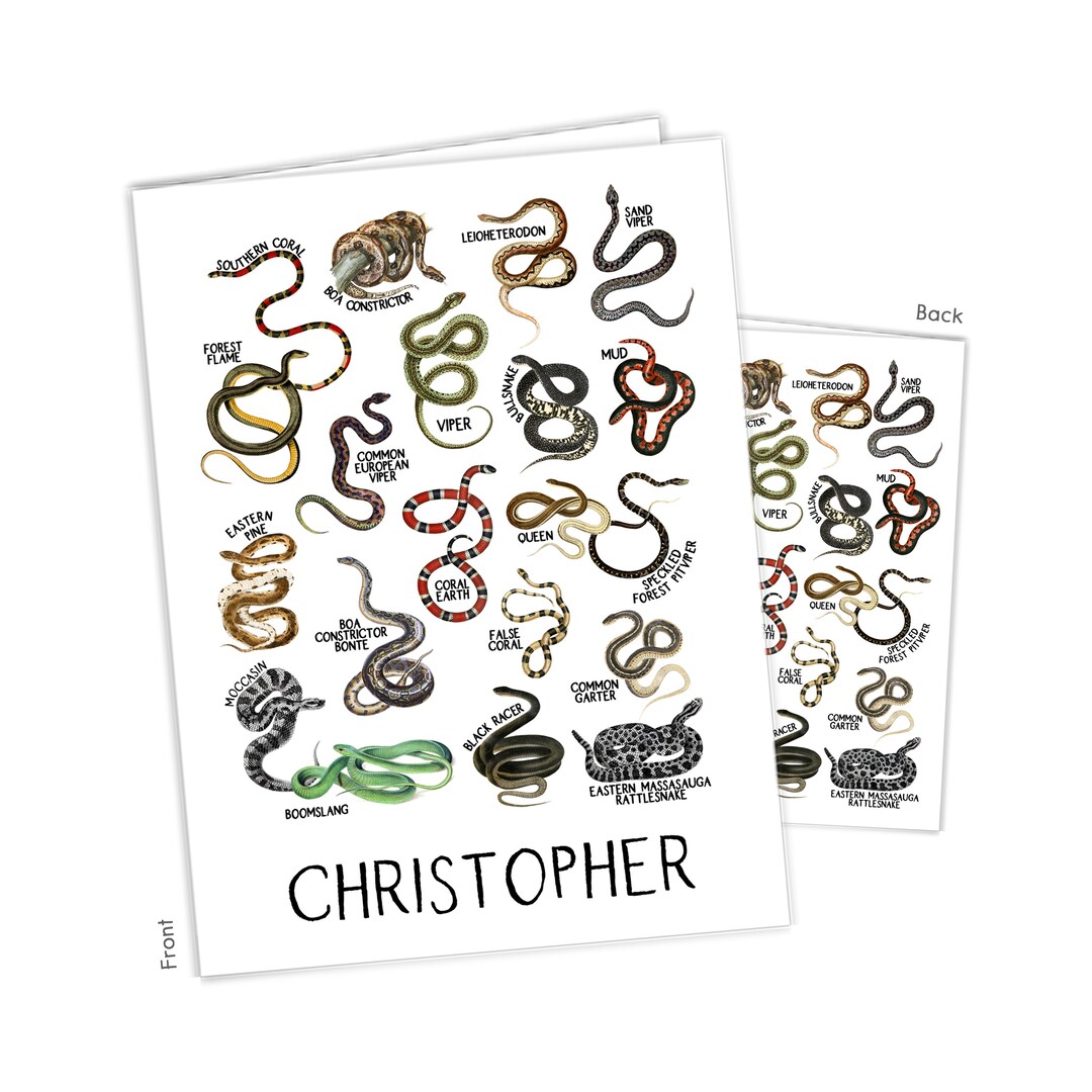 Snakes Personalized Folder 2 Pocket Back to School Supplies Custom ...