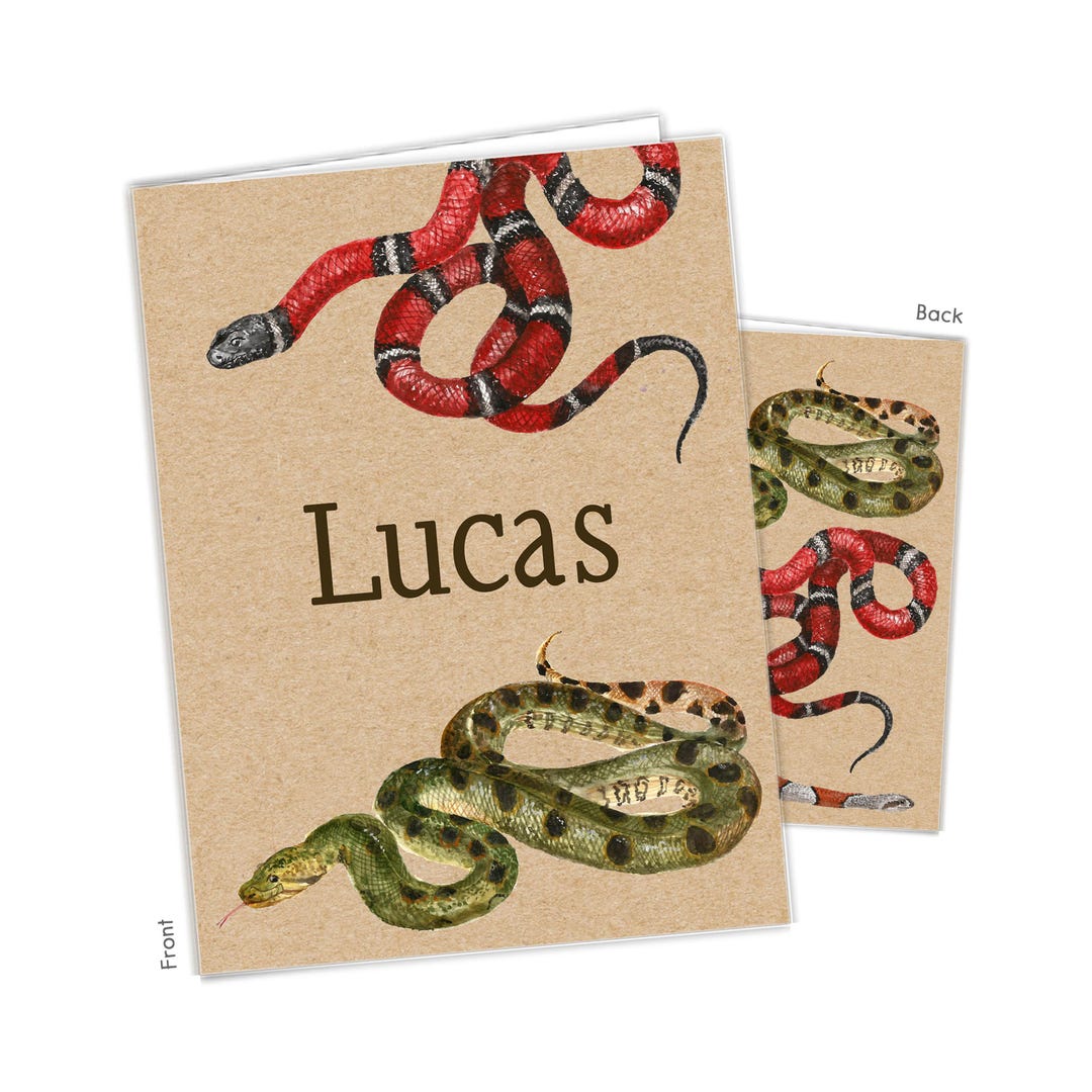 Snakes Personalized Folder 2 Pocket • Back to School Supplies Custom ...