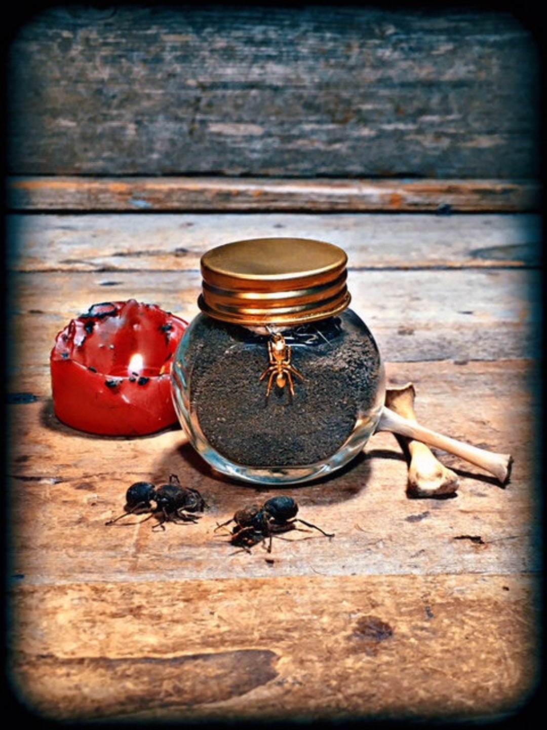 Ant Dirt With Gold Plated Ant Charm - Etsy