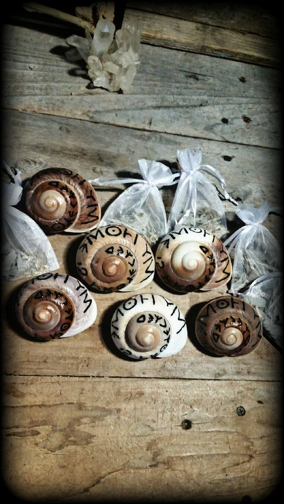 Protection Home Snail Shell | Etsy