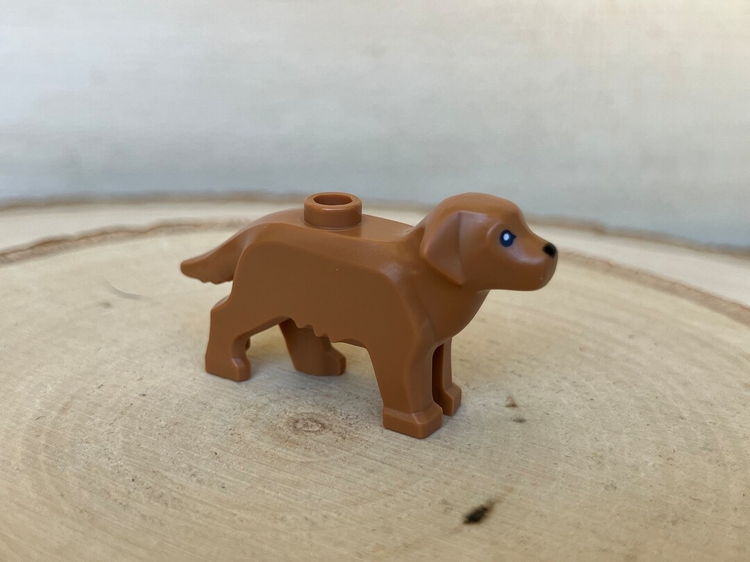 Medium Nougat Labrador / Golden Retriever With Black Right Eye and Nose ...