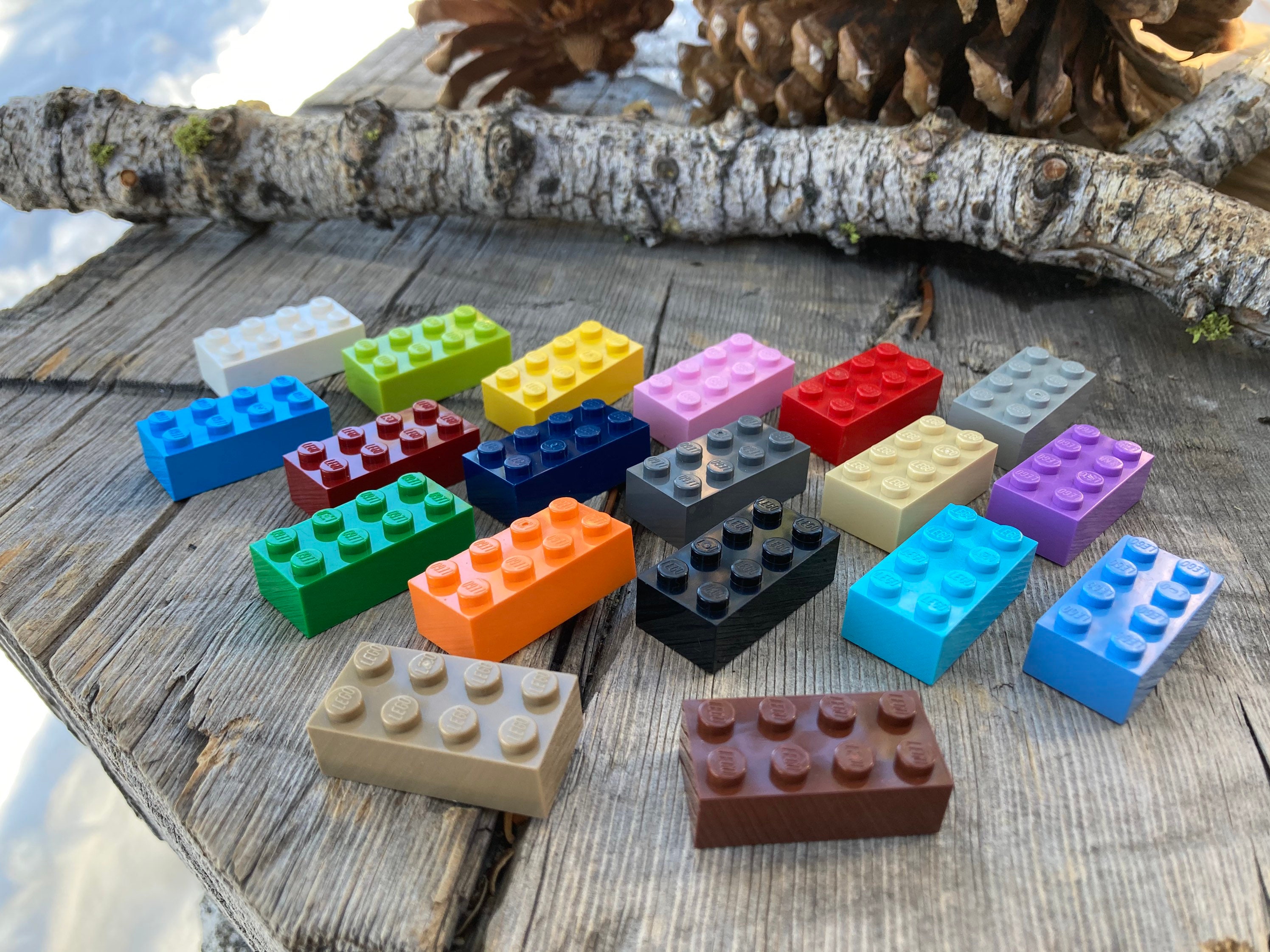 2x4 Lego Brick Number