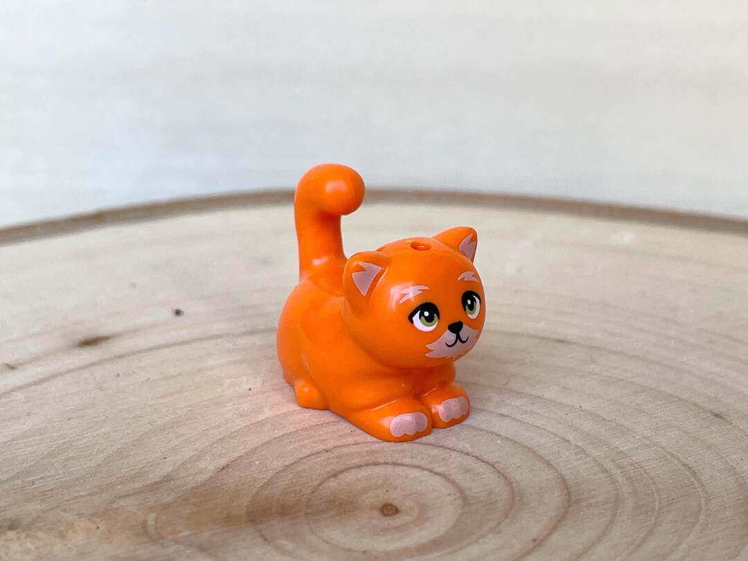 Orange Cat Sitting With Tan Markings and Lime Eyes (poundcake ...