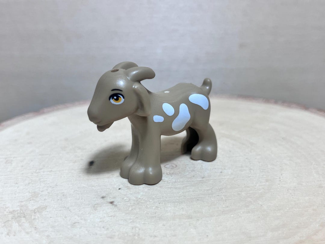 Dark Tan Goat With White Spots, Bright Light Orange Eyes & Black ...