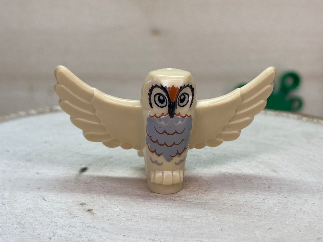 Tan Owl, Spread Wings With Black Beak and Eyes and Light Bluish Gray ...