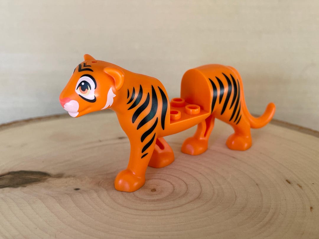 Big Cat With Black Tiger Stripes, White Trim on Face (rajah), Genuine ...