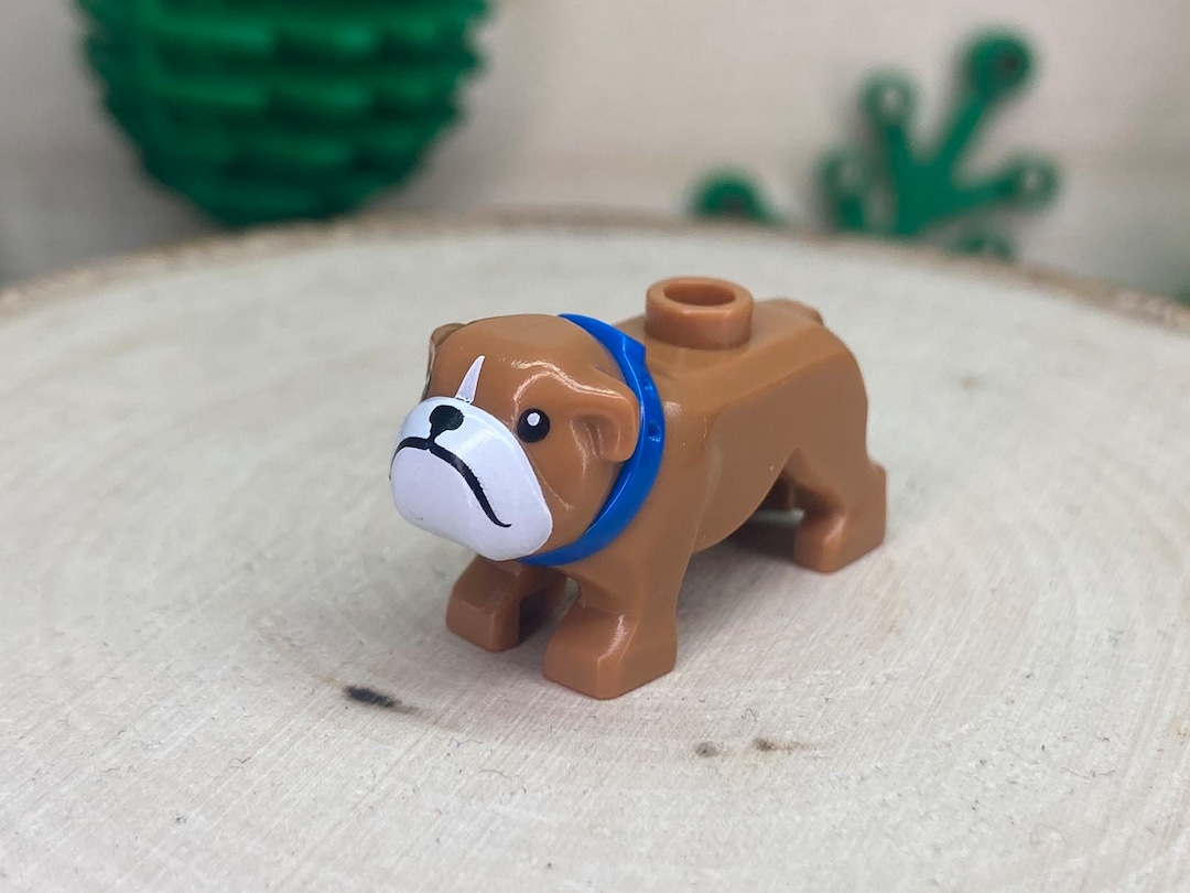 Dog, Bulldog With Black Eyes, Nose and Mouth, White Muzzle, and Blue ...