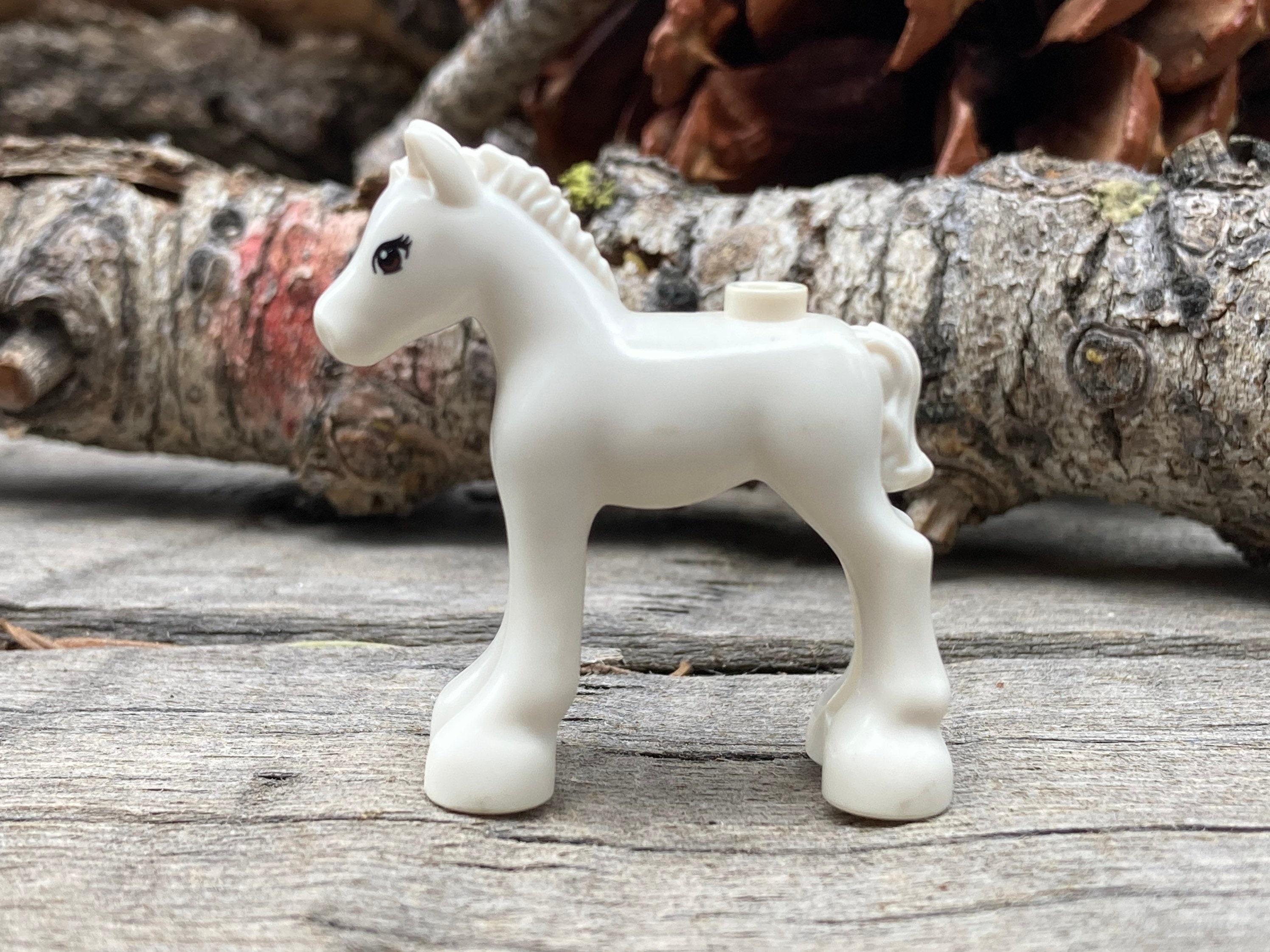 White Thoroughbred Foal