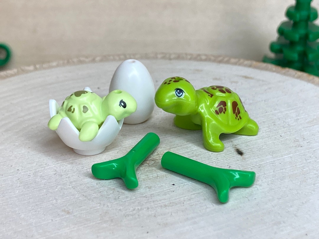 Turtle Family - Momma Turtle, Baby Turtle Hatching and Another Egg ...