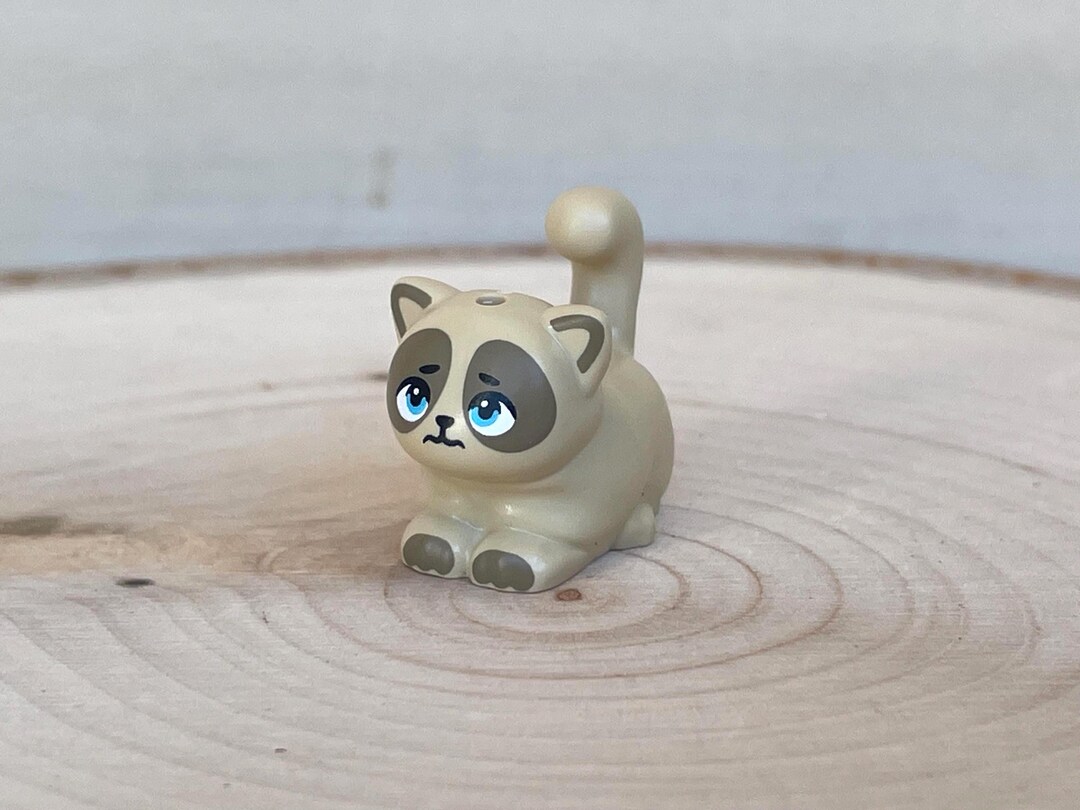 Cat, Tan, Sitting With Medium Azure Eyes, Dark Tan Markings (pom ...