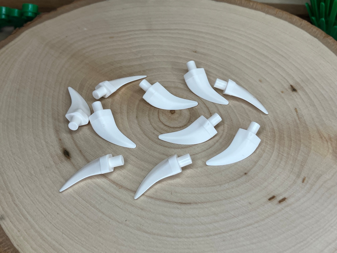 Medium White Barb / Claw / Horn / Tooth/ Sword, Group of 10 Genuine ...