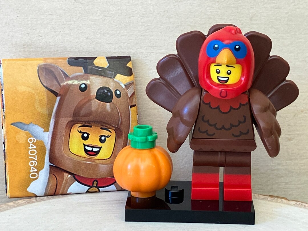 Turkey Costume, Complete Set With Stand and Accessories Collectible ...