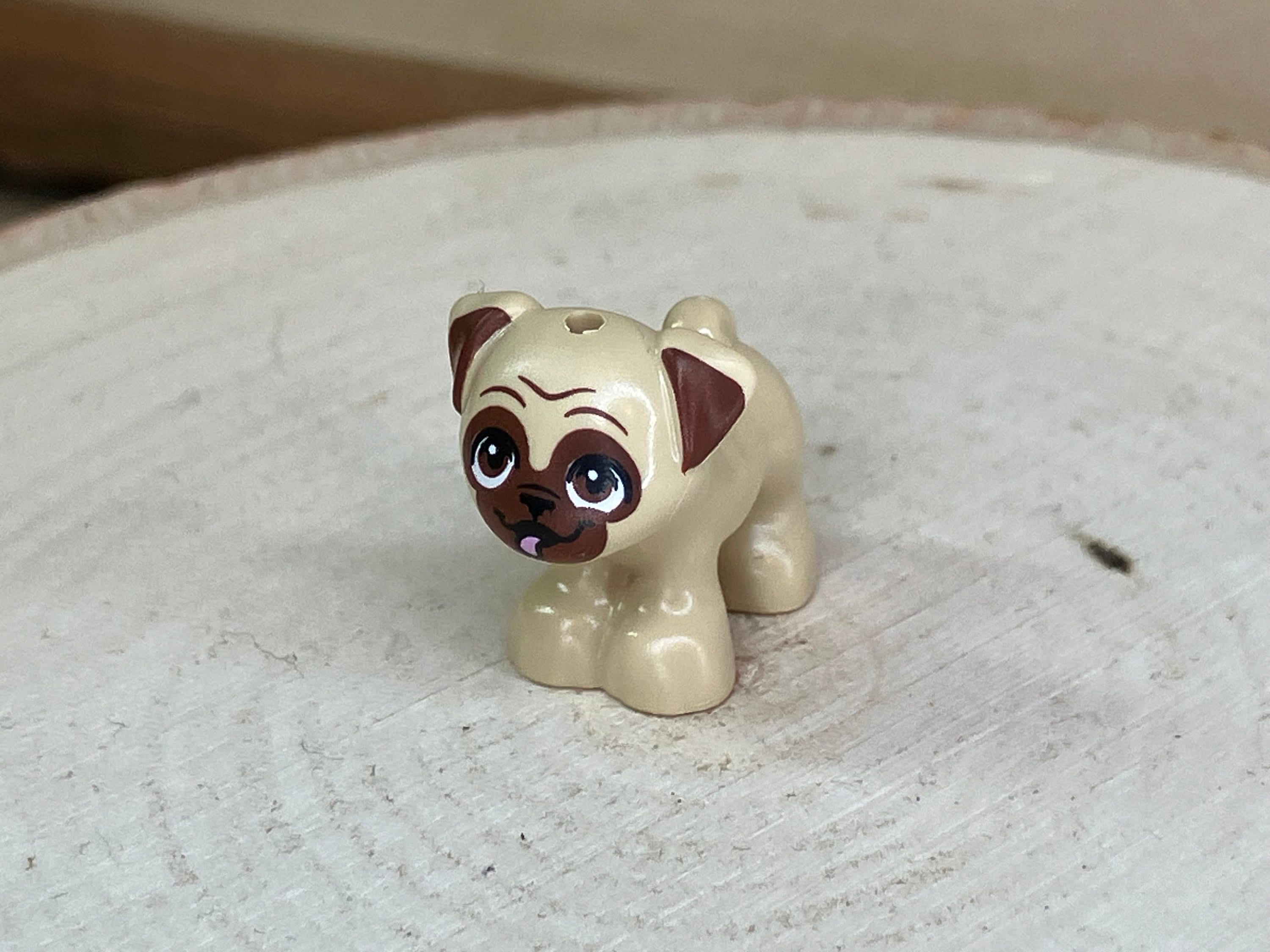 Tan Pug Standing With Reddish Brown Muzzled Face, Ears and Eyes and ...