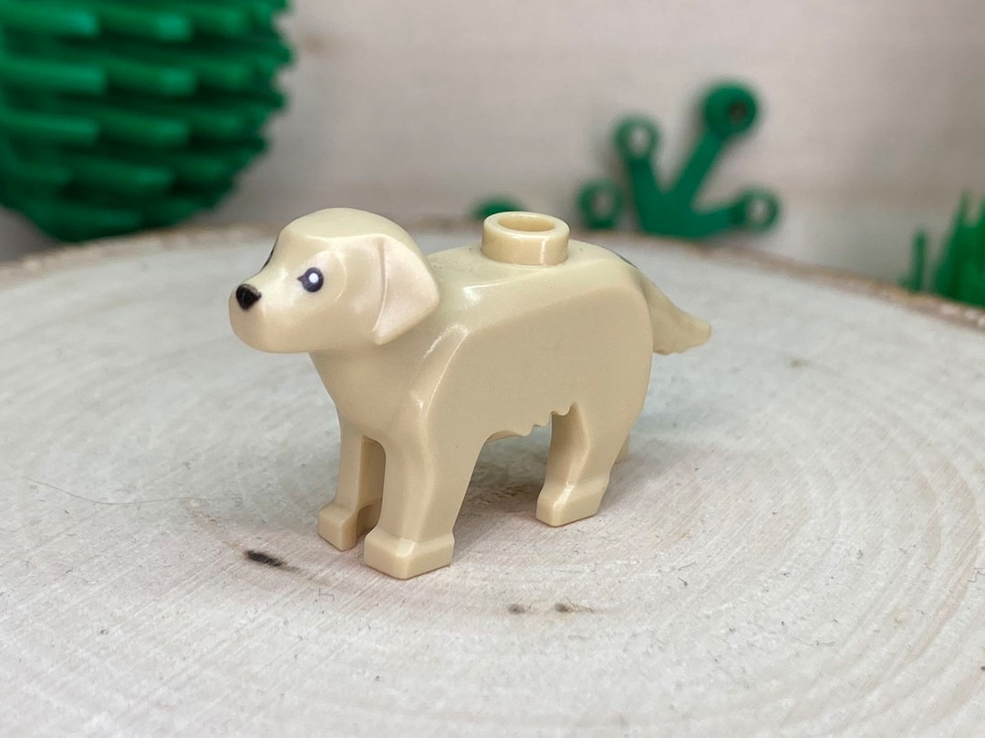 Dog, Labrador / Golden Retriever With Black Eyes and Nose Genuine LEGO ...