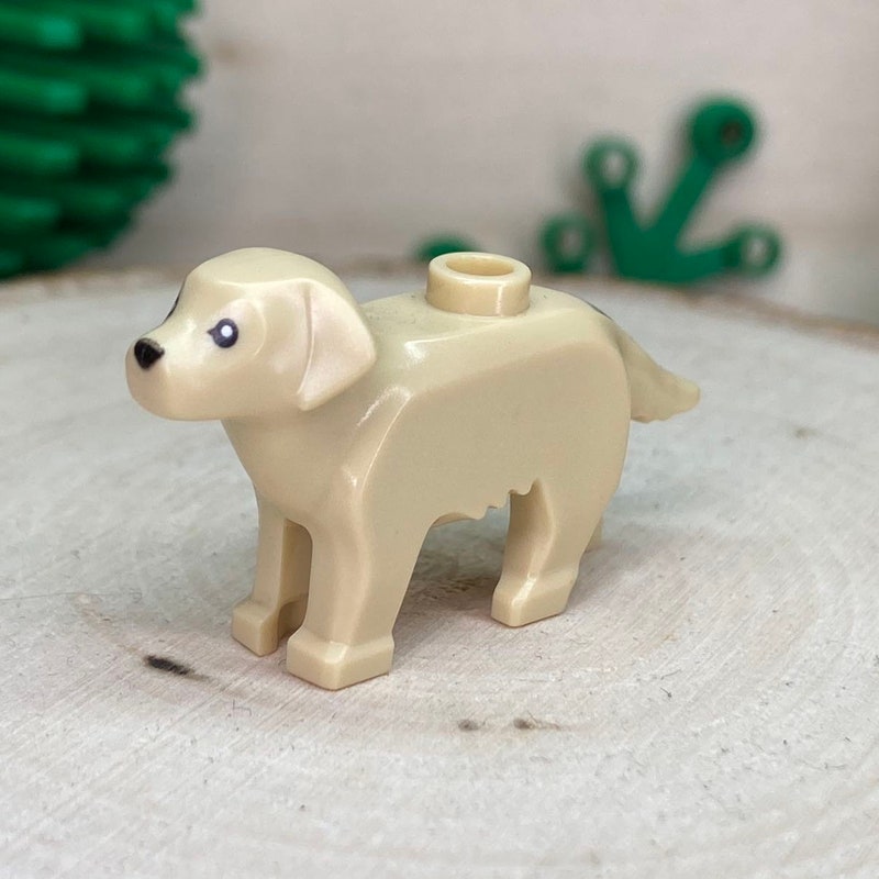 BricksFromColorado - Etsy