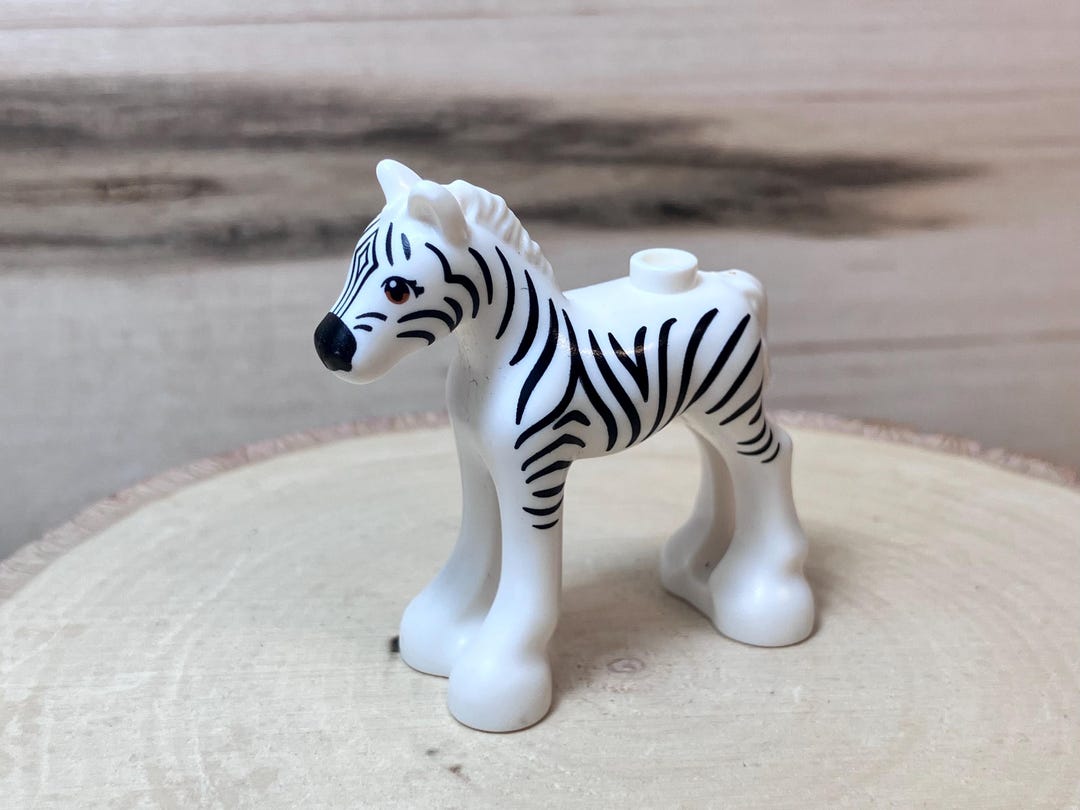 White Baby Zebra Foal With Dark Orange Eyes, Black Eyebrows, and Zebra ...