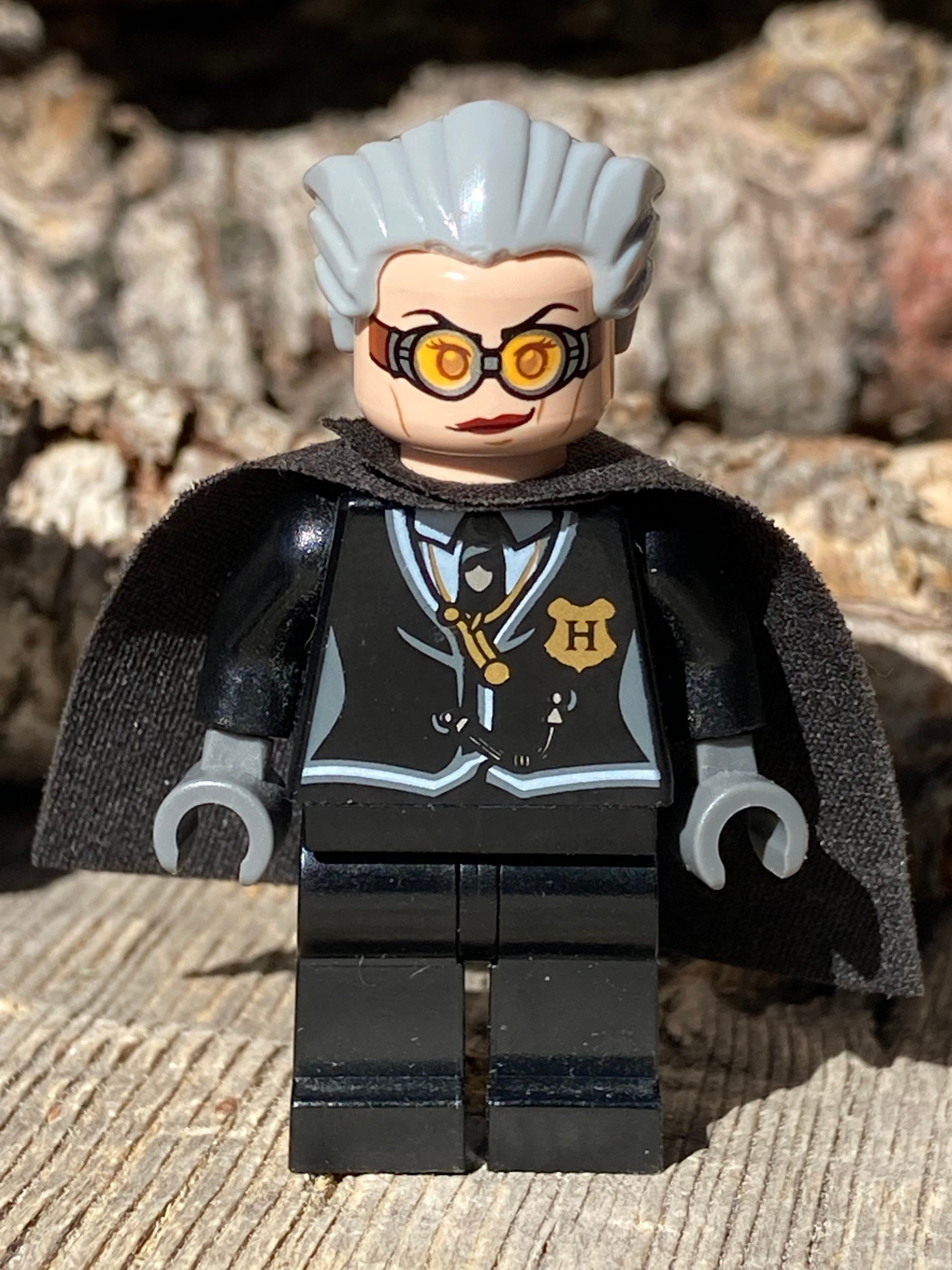 Harry Potter Madam Hooch