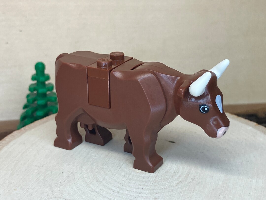 Cow With Light Nougat Muzzle and White Spot on Head With Short Horns ...