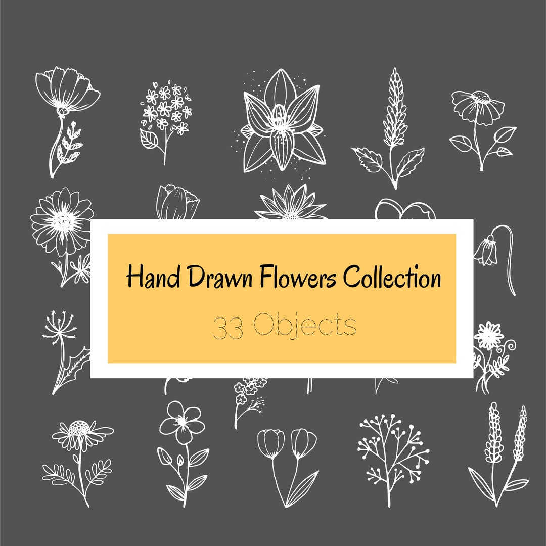 Hand Drawn Flowers Collection (33 PNG) - Etsy