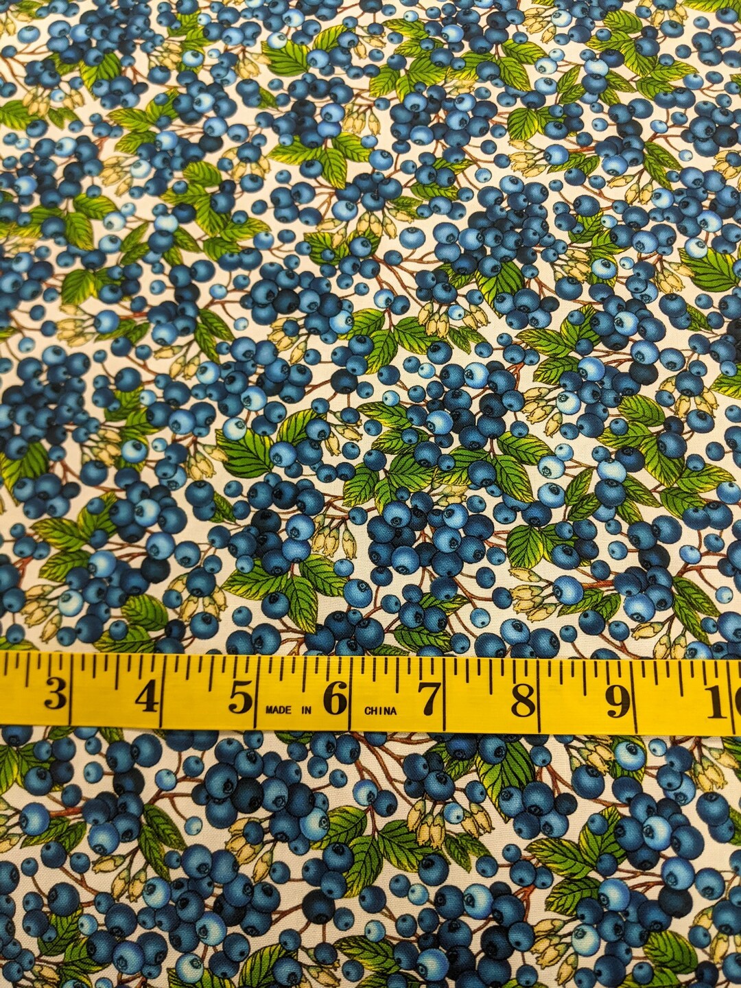 Luscious Ripe Blueberries,green Leaves and Tiny Yellow Buds on a Cream ...