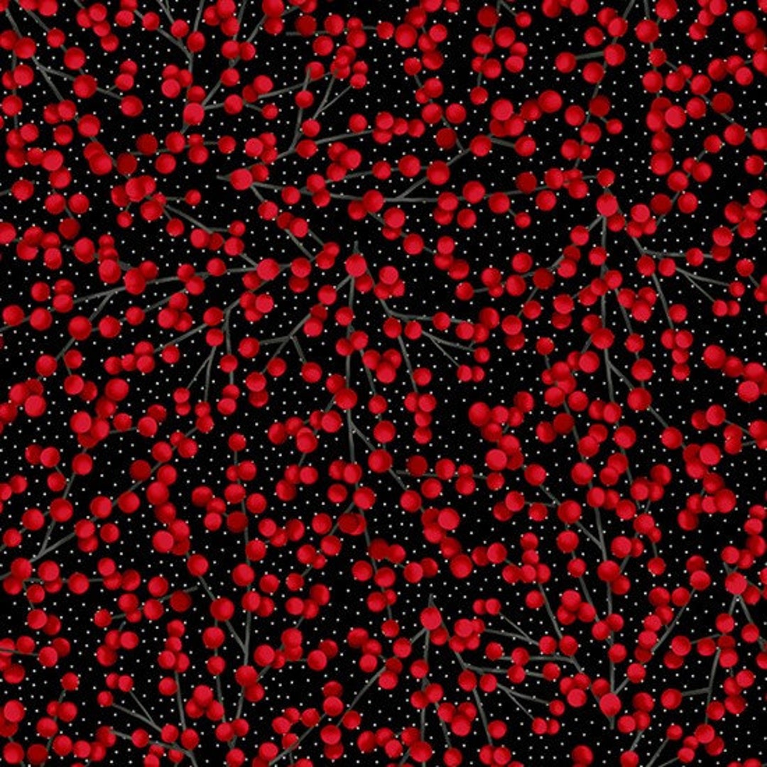 Red Berry Sprigs With Silver Metalic Accents,on a Black Background ...