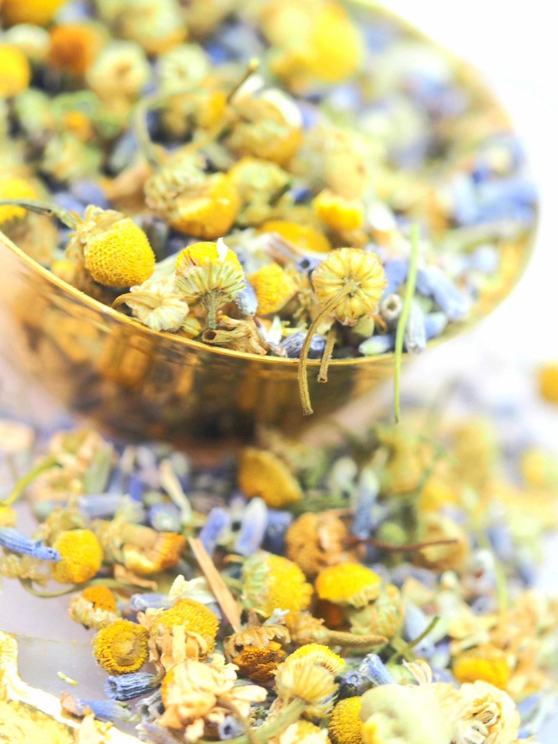 Loose Leaf TEA Starter KIT Organic Tea Gift Set - Etsy