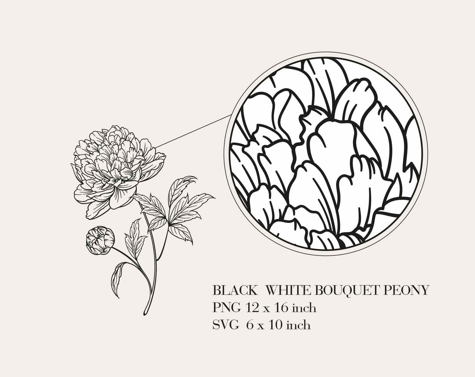 Peony SVG| Peonies Flower SVG| Flower Cut Files| Flower Clipart| Peony ...