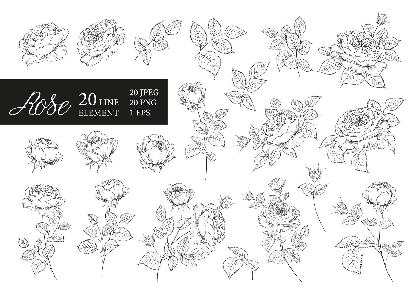 Fine Line Design Elements Clipart Black Rose Flower Line Art 20 Floral ...