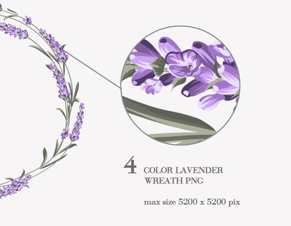 Lavender Wreath Flower Frame Png. Digital Lavender Herb. - Etsy